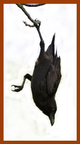 “Happy Mask” – Candid Corvid Productions